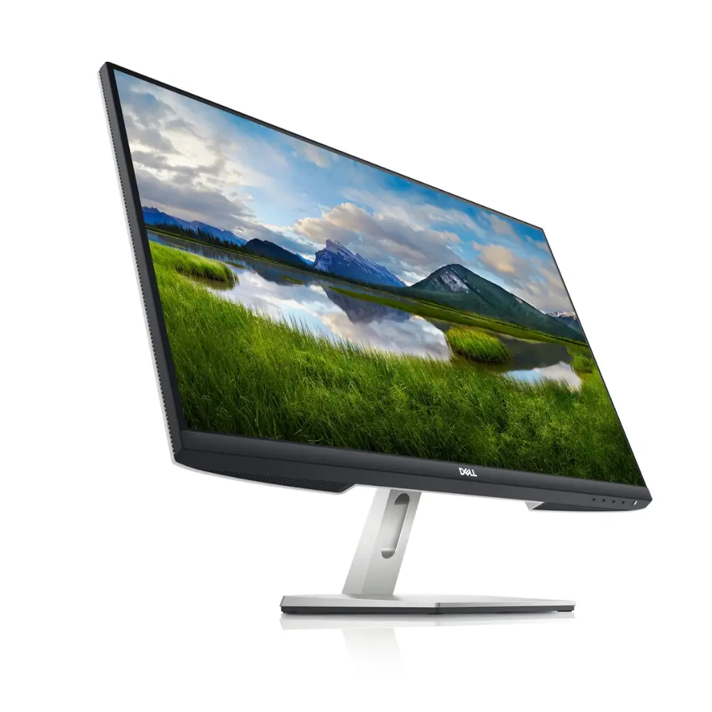 Dell S2421HN 23.8 inch Full HD IPS Monitor (HDMI, Audio) 3 Years ...